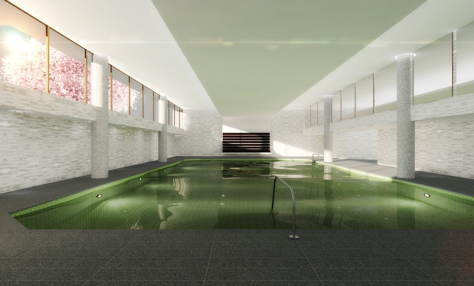 pool-front-view - Insiders Guide to Spas